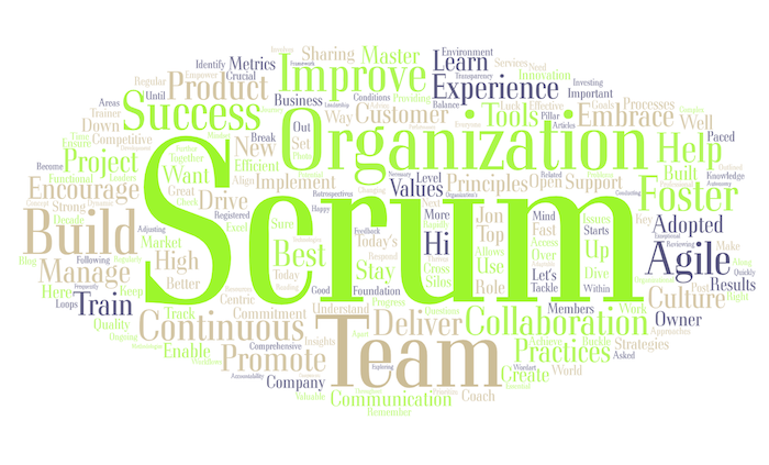 Building a Scrum Organization: Strategies and Best Practices – Goagileworks